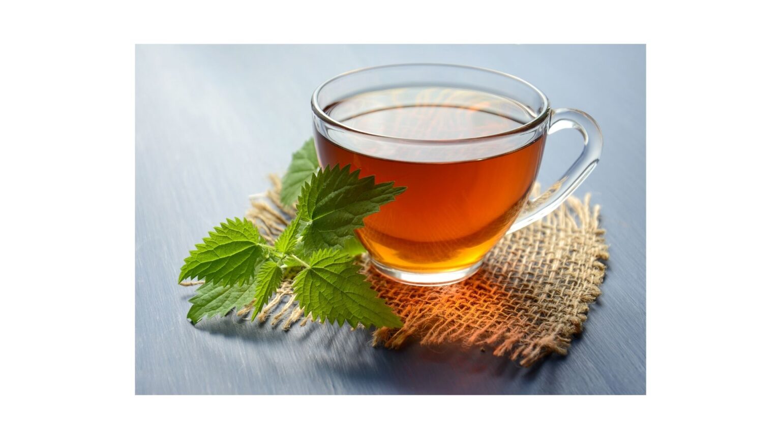 Desfrutando da Serenidade: Os Melhores Chás com Efeito Calmante ...